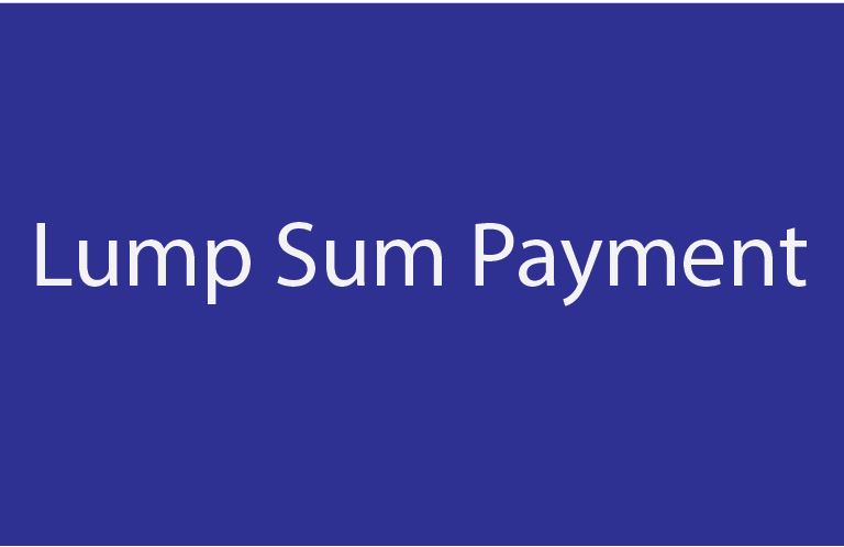 Debt Repayment Options